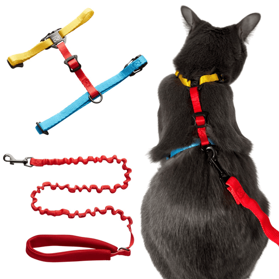 How to Make a Cat Harness And Leash: DIY Guide - My Blog
